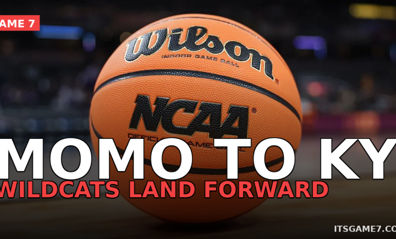 Milan Momcilovic Lands at Kentucky in Major Transfer Portal Pickup - Game 7
